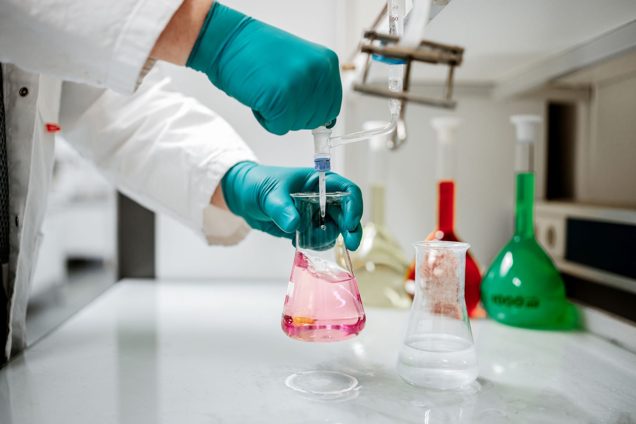 SPGPrints | Rose. New perspective in sublimation printing